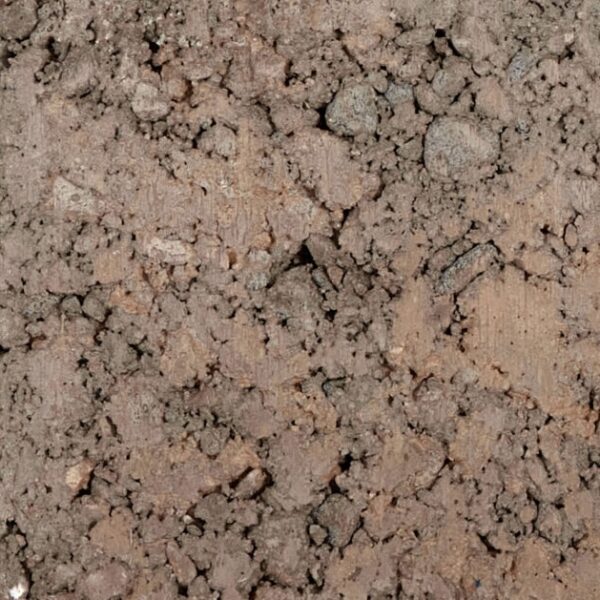 Inish Curragh Gold 60MM Block Paving - Sample - Buy Garden Paving